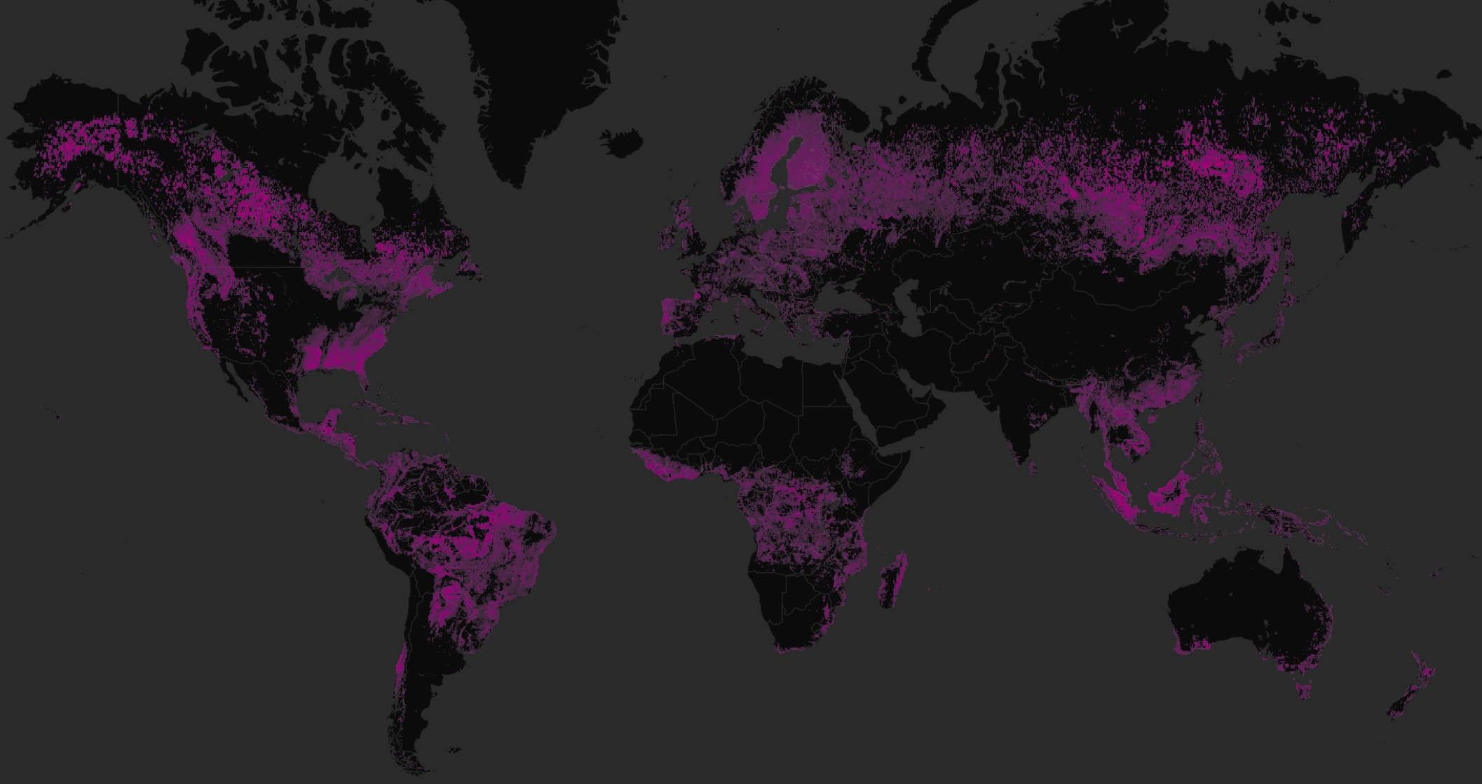 Introducing Salo | Salo