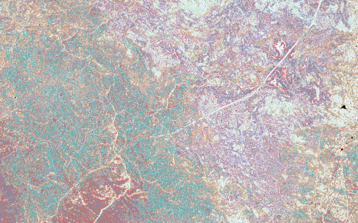 A foray into large-scale species mapping | Salo