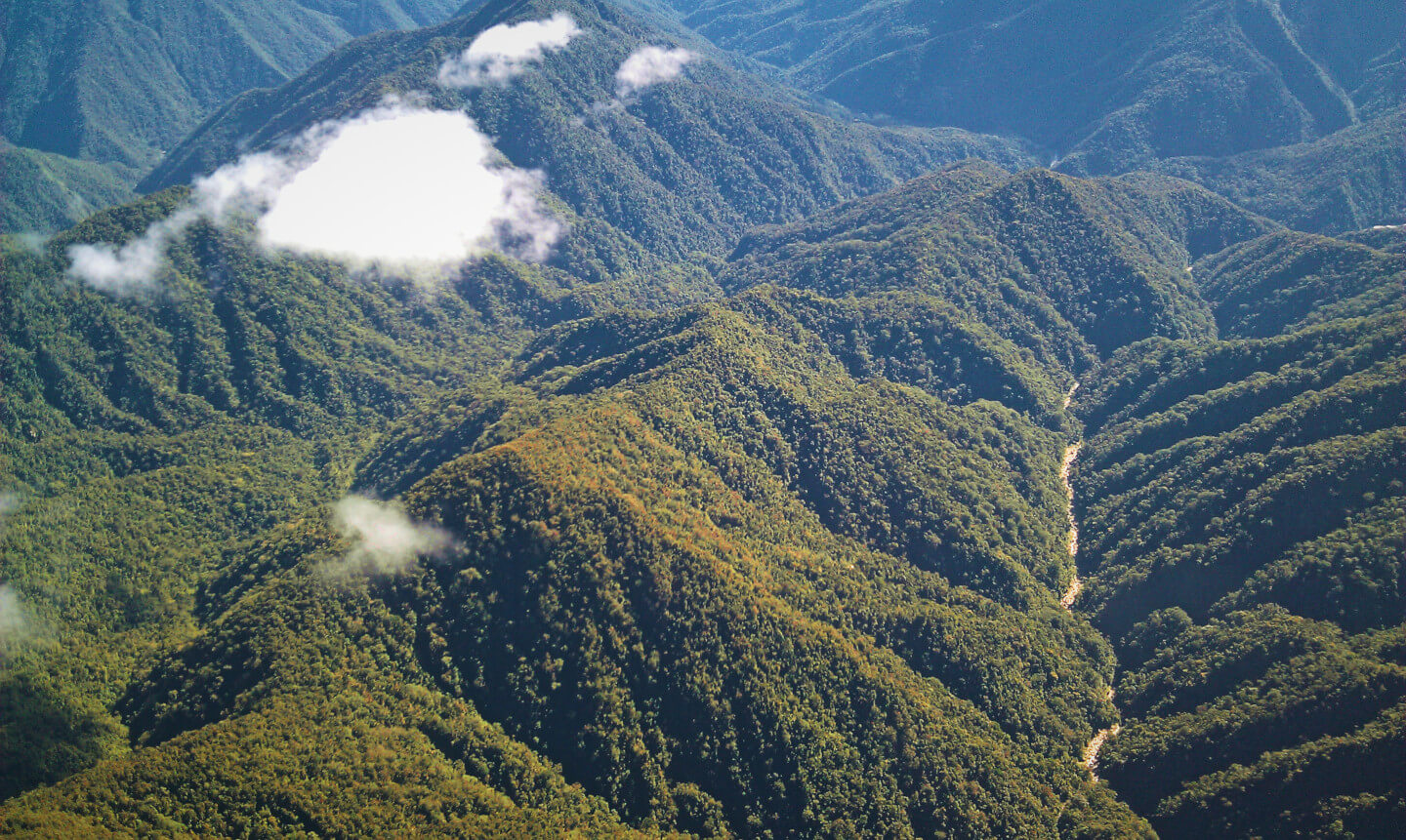 A foray into large-scale species mapping | Salo